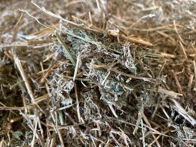Easy-chew Lucerne Hay | ELITE EQUINE NUTRITION